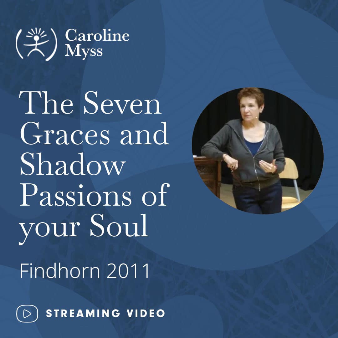 The Seven Graces and Shadow Passions of your Soul - 2011 - Caroline Myss